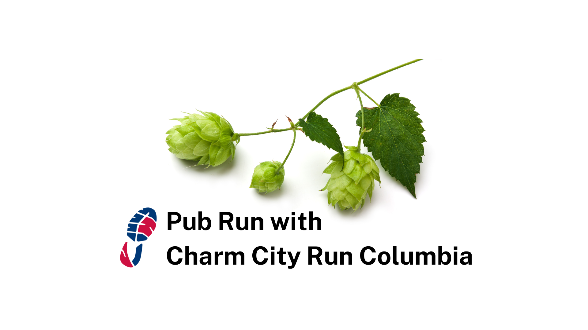 Pub Run - Charm City Run